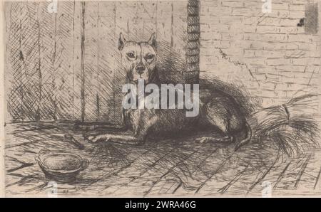 Dog in the courtyard, Jack (title on object), print maker: Henri Kervyn ...