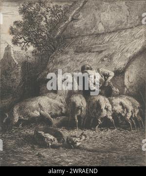 Feeding the pigs, Charles Emile Jacque, 1845 print Numbered bottom left ...