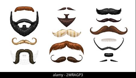 Toothbrush mustache Beard style men face illustration Facial hair ...