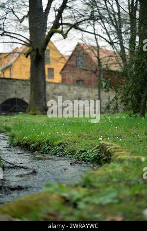stream flows through the houses and the park. The water flows quickly ...