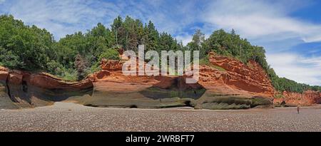 Wooded cliffs, red sandstone, Five Islands Provincial Park, Fundy Bay ...