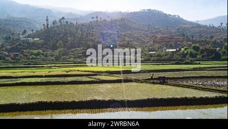 Rice paddies, Manandona, Antsirabe II, Vakinankaratra, Madagascar Stock ...