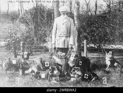 RED CROSS DOGS 1915 Stock Photo - Alamy