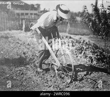Quentin D. Corley, Photograph shows Quentin Durward Corley, Sr. (1884 ...
