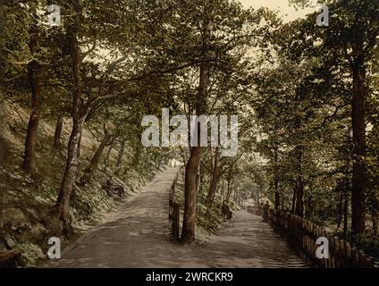 The Plantation, Exmouth, England Stock Photo - Alamy