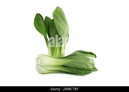 Pak choi, also known as bok choi or pok choi type of Chinese cabbage ...