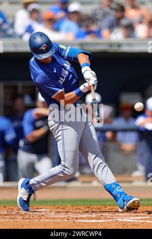 Tampa Bay Rays catcher Danny Jansen poses for a portrait during photo ...