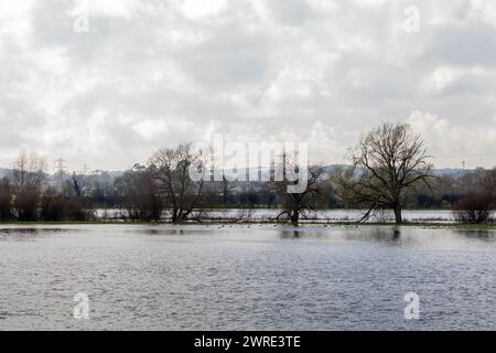 View of trees and flooded fields at Longham Lakes in Dorset, England ...
