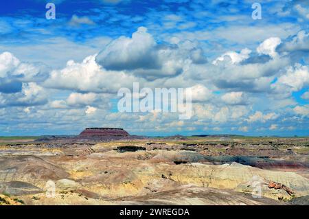 Alien landscape of the ancient petrified forest national park in ...