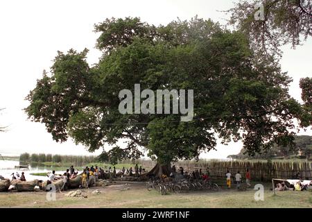 Awassa, ETHIOPIA - November 20, 2011: Unidentified people on the fish ...