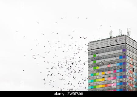 The colourful LCC Tower Building, London College of Communication, UAL ...