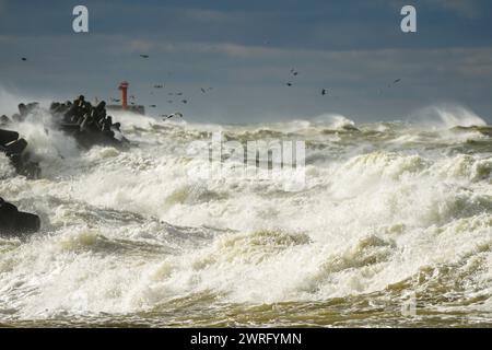 Hurricane scene, a seagull flies over waves and splashes during a ...