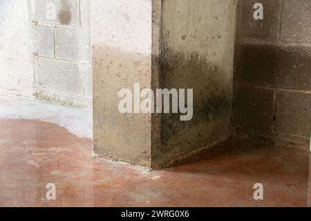 Damage to a concrete column from water in the basement Stock Photo - Alamy