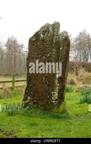 The Matfen - Standing Stone / Menhir - Cup Markings Stock Photo - Alamy