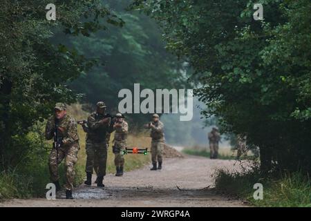 Elite military unit parading and securing the forest, utilizing drones ...