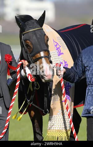 2024/03/10 CHUKYO 11R THE KINKO SHO Prognosis/Yuga Kawada Jockey at ...