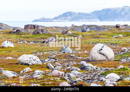 Tundra landscape in Murmansk region Stock Photo - Alamy