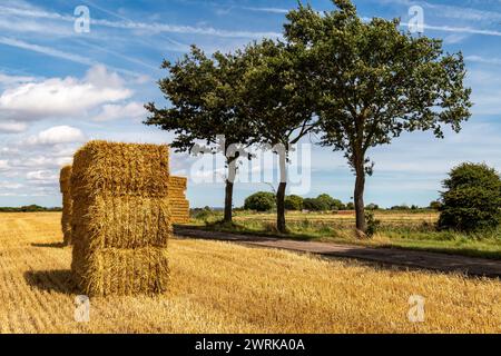 A rural Kent farm landscape after harvesting, on a sunny summer's day ...