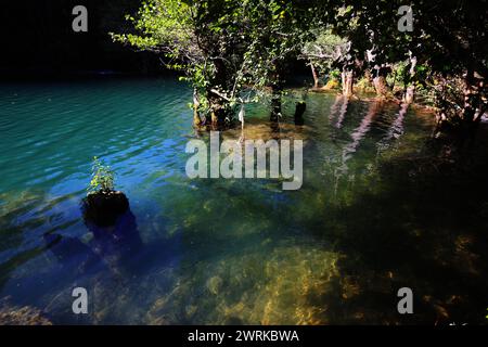 Wasserfall, Martin Brod , Fluss, Flussufer, Una Nationalpark, Bosnien ...