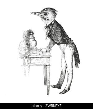 Anthropomorphic animals. humanized bird. cyborg animals. CRISPR. CAS9 ...