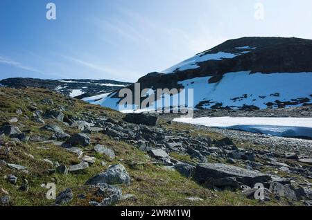 Swedish Lapland landscape with snow and fragile vegetation. Arctic ...