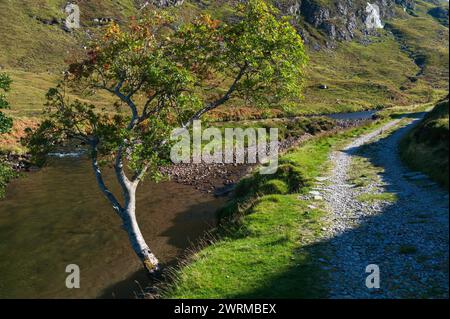 Track alongside the River Croe in Glenlicht, Kintail, Scotland Stock ...