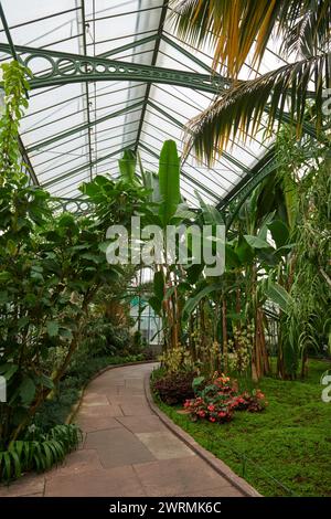 Amazonian Ecosystem Enchantment: Nature's Wonders in the Botanical ...