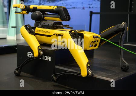 Boston Dynamics robots at the Hyundai presentation during Media Days at ...