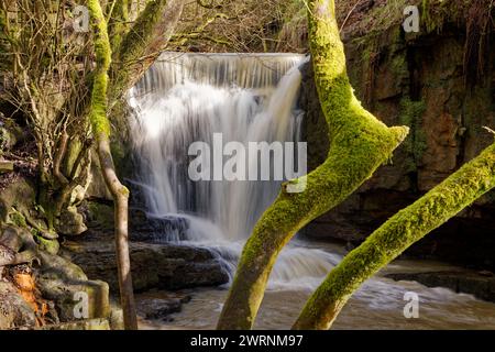 Waterfall at Plunge Mill, Edenfield, Lancashire Stock Photo - Alamy