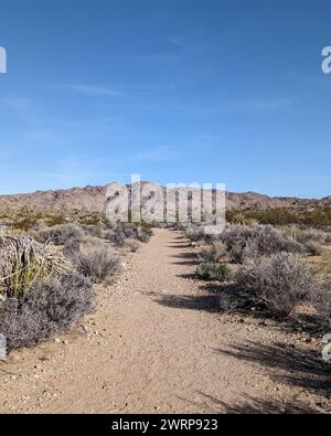 Hiking path in a desert in California,USA Stock Photo - Alamy