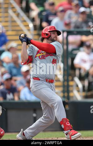 Fort Myers, FL: St. Louis Cardinals second baseman Nolan Gorman (16 ...