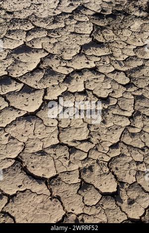 old desert and the abstract cracked sand texture in oman rub al khali ...