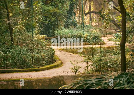 Winding pathway in sweltering urban Indian park where air is thick with ...