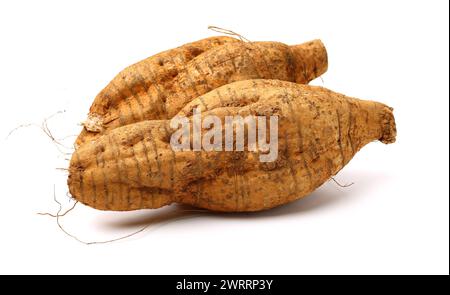 Root of kudzu vine,puerarin Isolated on a white background Stock Photo ...