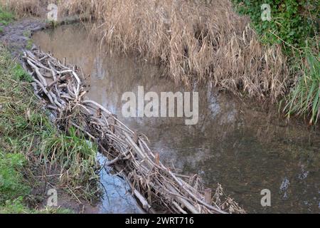 Traditional river bank protection added to the River Lea at Batford ...