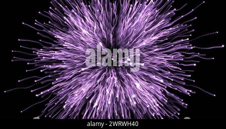 Digital image of purple light trail exploding against black background ...