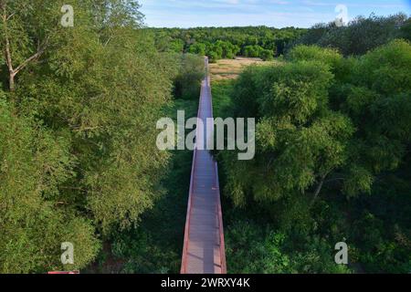 Long wooden boardwalk crossing wetland Stock Photo - Alamy