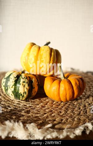 Different types of mini pumpkins color background Stock Photo - Alamy