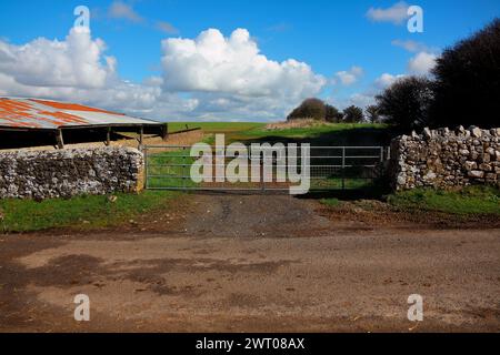 Locked wide galvanised farm gate in front of fields of yellow rapeseed ...