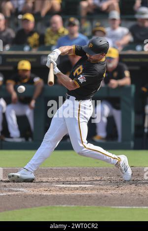 Bradenton, FL: Baltimore Orioles second baseman Jorge Mateo (3) throws ...
