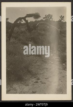 Dancer and Joshua Tree. Louis Fleckenstein, photographer (American ...
