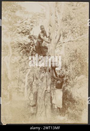 Sir Henry Hamilton Johnston (1858 - 1927), British explorer, botanist ...