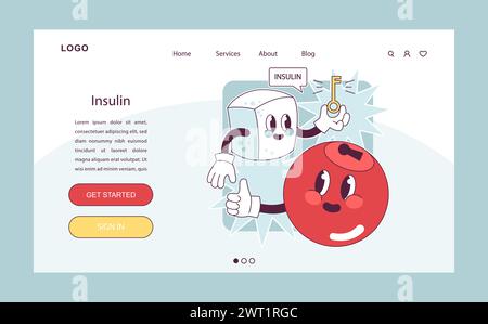 Endocrine system. Insulin function. Pancreas gland hormones secretion ...