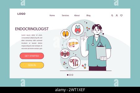 Endocrinology. Endocrine system organs, pancreas thyroid gland ...