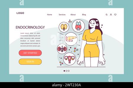 Endocrinology. Endocrine system organs, pancreas thyroid gland ...