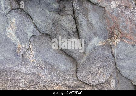 Detailed closeup view showing rugged rear ATV tail light with knobby ...