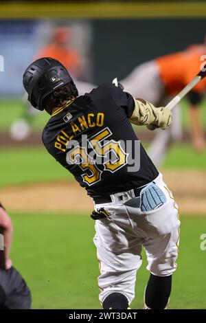 Bradenton, FL: Pittsburgh Pirates outfielder Bryan Reynolds (10) flies ...
