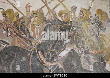 A detail of the Pompeian mosaic known as Alexander the Great Mosaic ...
