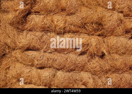 Three stages of coconut coir rope making with traditional process ...