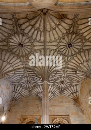 Bodley staircase to the Great Hall, Chest Church College, Oxford ...